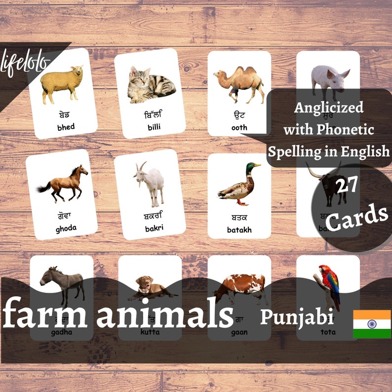 Farm Animals | PUNJABI | English Bilingual Cards | 27 Punjabi Language ...