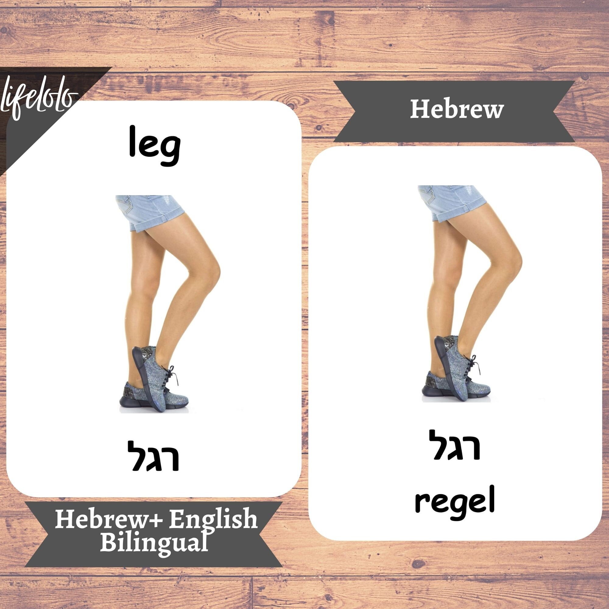 Body Parts real HEBREW English Bilingual Cards 24 - Etsy