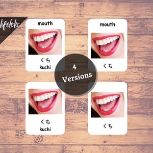 Body Parts (real) | JAPANESE | English Bilingual Cards | 24 Japanese ...