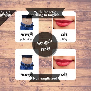 Body Parts (real) | BENGALI | English Bilingual Cards | 24 Bengali ...
