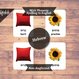 First Words HEBREW Version - English Bilingual Cards | 48 Hebrew Flash ...