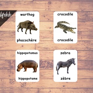 Wild Animals FRENCH Version - English Bilingual Cards | 41 French Flash ...