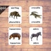 Wild Animals FRENCH Version English Bilingual Cards 41 French Flash ...