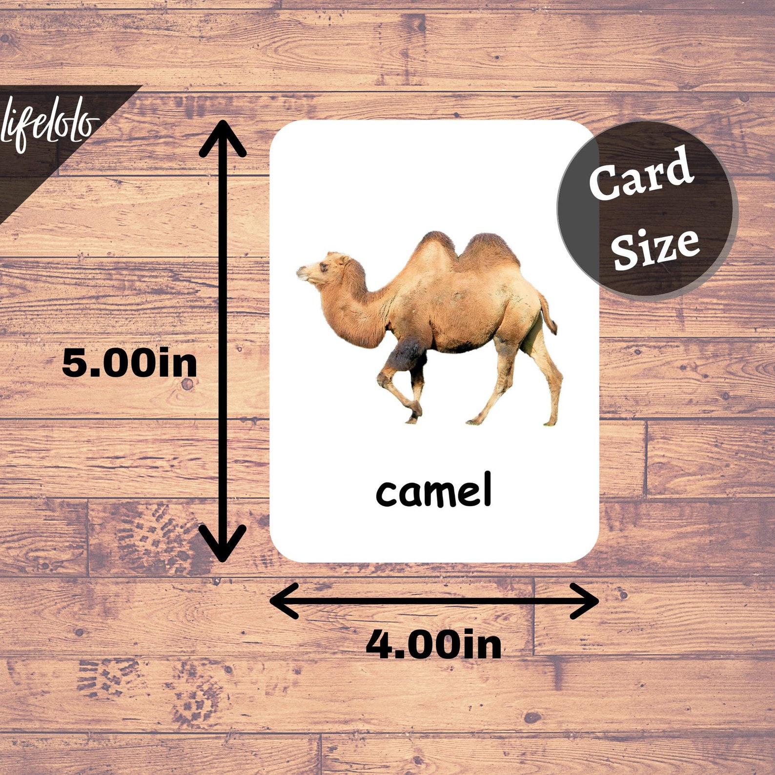 Farm Animals Real Images 27 Flash Cards Montessori Cards - Etsy