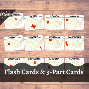 United States Map, Flash Cards, 50 States Montessori Cards, 3 Part Card ...