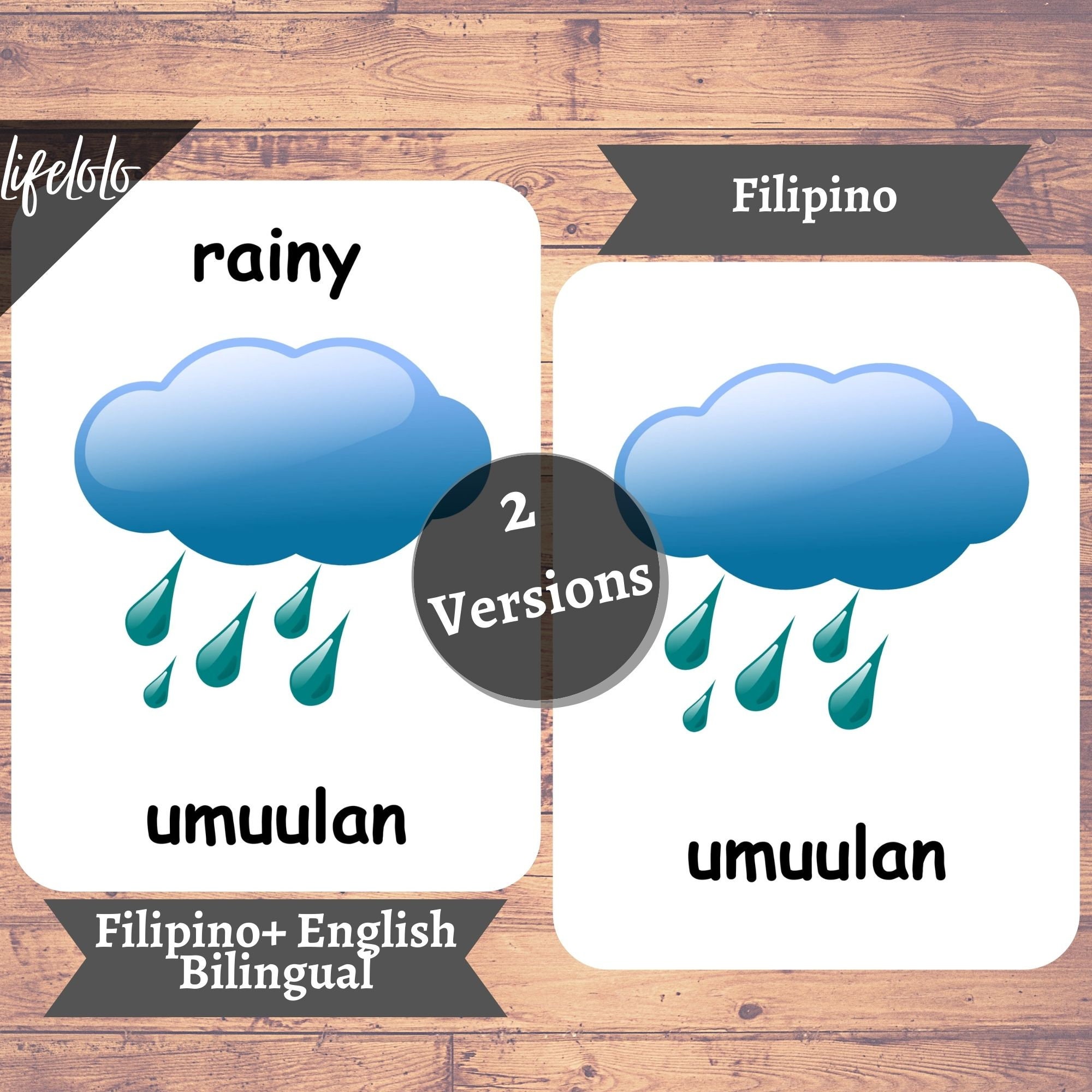 Weather Cards in FILIPINO Tagalog Flash Cards English - Etsy