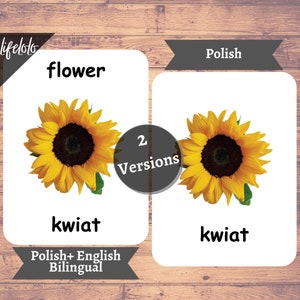 First Words POLISH Version - English Bilingual Cards | 48 Flash Cards ...