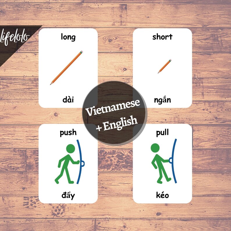 Antonyms Vietnamese Flashcards English Bilingual Cards 104 - Etsy