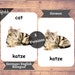 Farm Animals GERMAN English Bilingual Cards 27 German Flash Cards ...