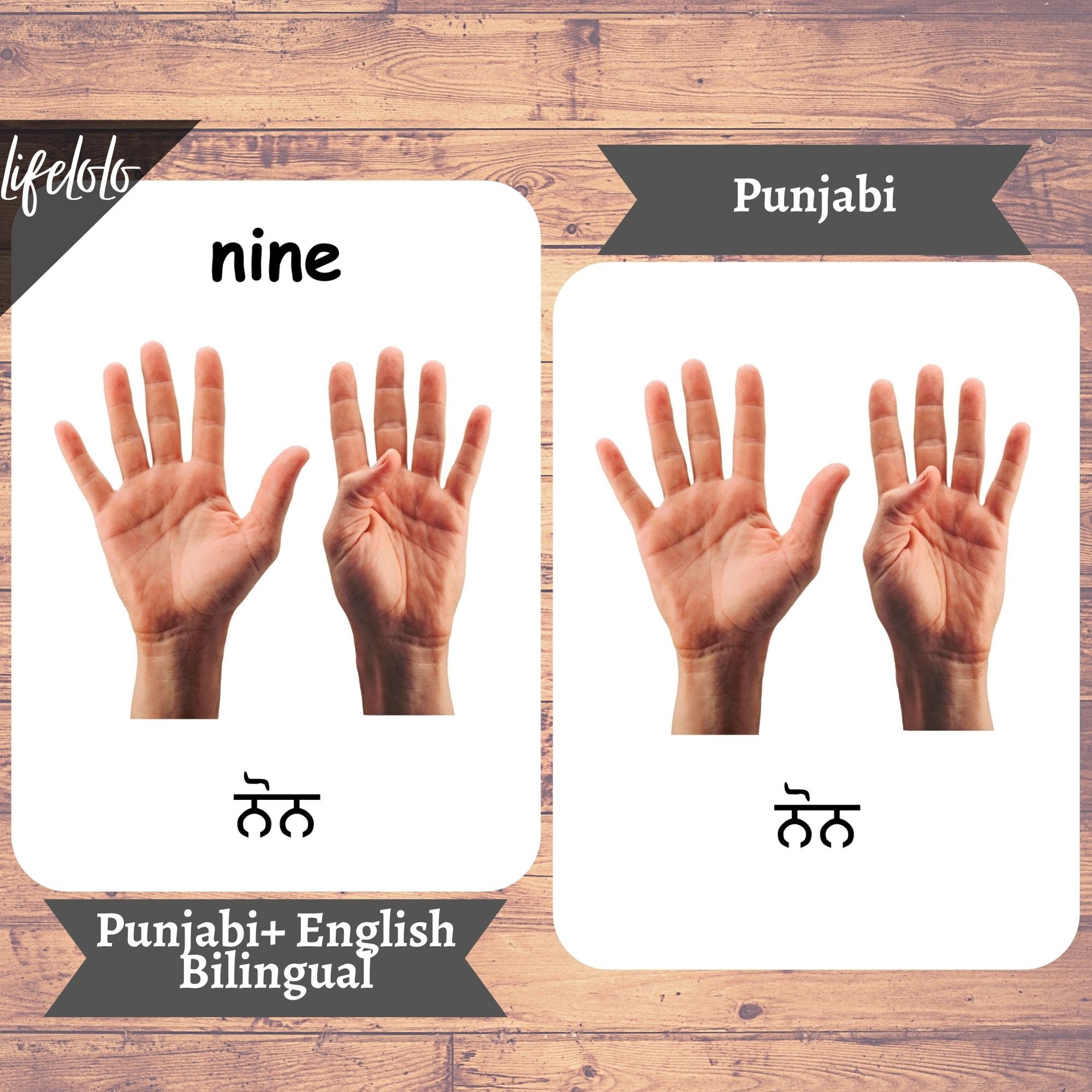 PUNJABI Numbers Counting Flashcards Learn Punjabi Toddler - Etsy España