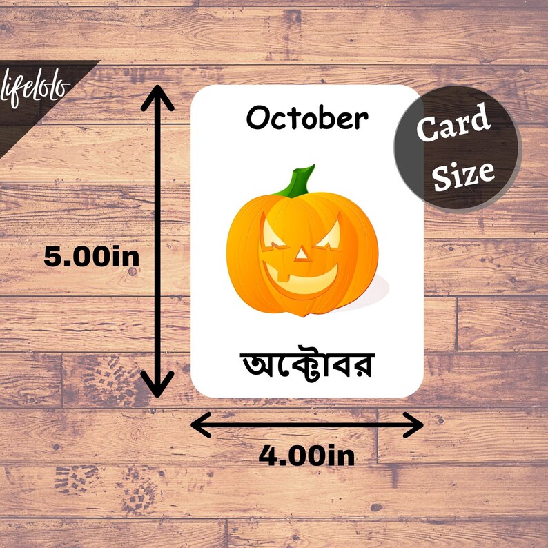 Months of the Year Bengali Flash Cards 12 Bilingual Cards - Etsy