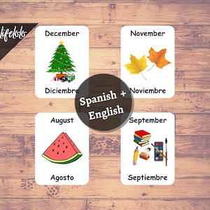 Months of the Year SPANISH Flash Cards, 12 Bilingual Cards, Montessori ...