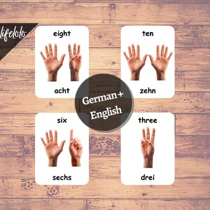 GERMAN Numbers, Counting Flashcards, Deutsche, Learn German, Toddler ...