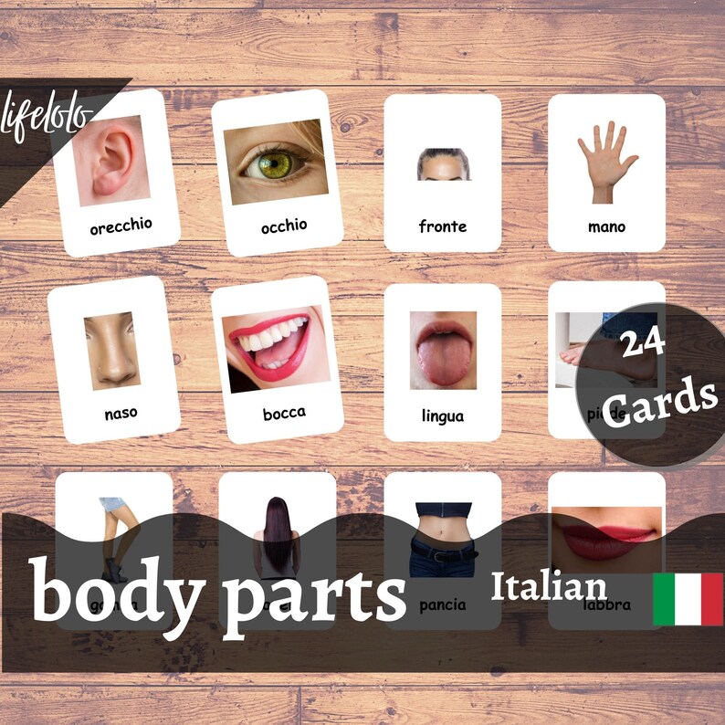 Body Parts real ITALIAN English Bilingual Cards 24 - Etsy