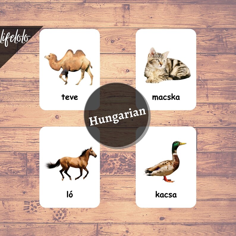 Farm Animals | HUNGARIAN | English Bilingual Cards | 27 Hungarian ...
