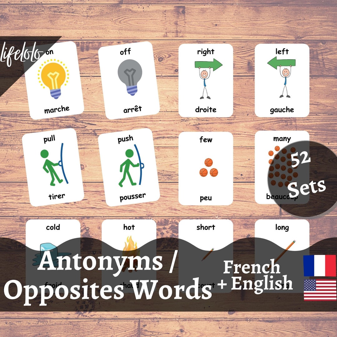 Antonyms FRENCH Flashcards, English Bilingual Cards, 104 Opposite Words ...
