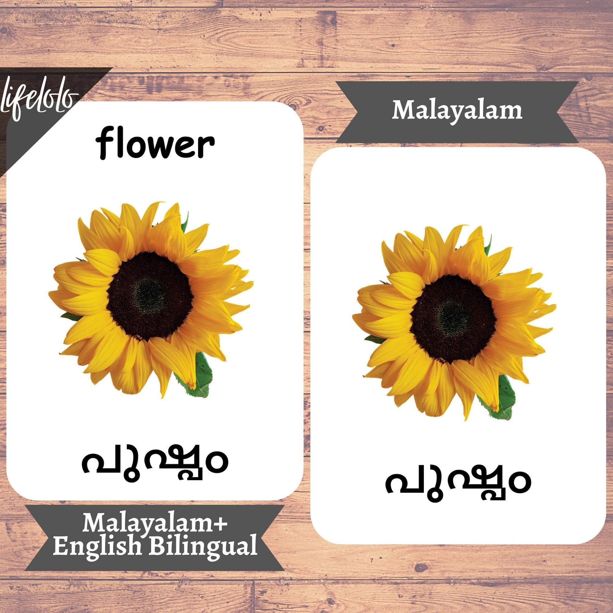 Malayalam BUNDLE Malayalam English Bilingual Cards - Etsy