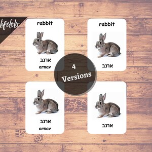 Farm Animals | HEBREW | English Bilingual Cards | 27 Hebrew Flash Cards ...