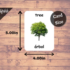 First Words SPANISH Version English Bilingual Cards 48 Spanish Flash ...