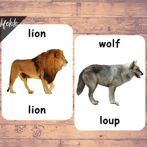 Wild Animals FRENCH Version - English Bilingual Cards | 41 French Flash ...