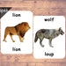 Wild Animals FRENCH Version - English Bilingual Cards | 41 French Flash ...