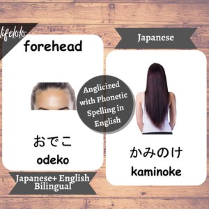 Body Parts (real) | JAPANESE | English Bilingual Cards | 24 Japanese ...