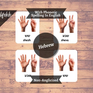 HEBREW Numbers, Counting Flashcards, Learn Hebrew, Toddler Games ...