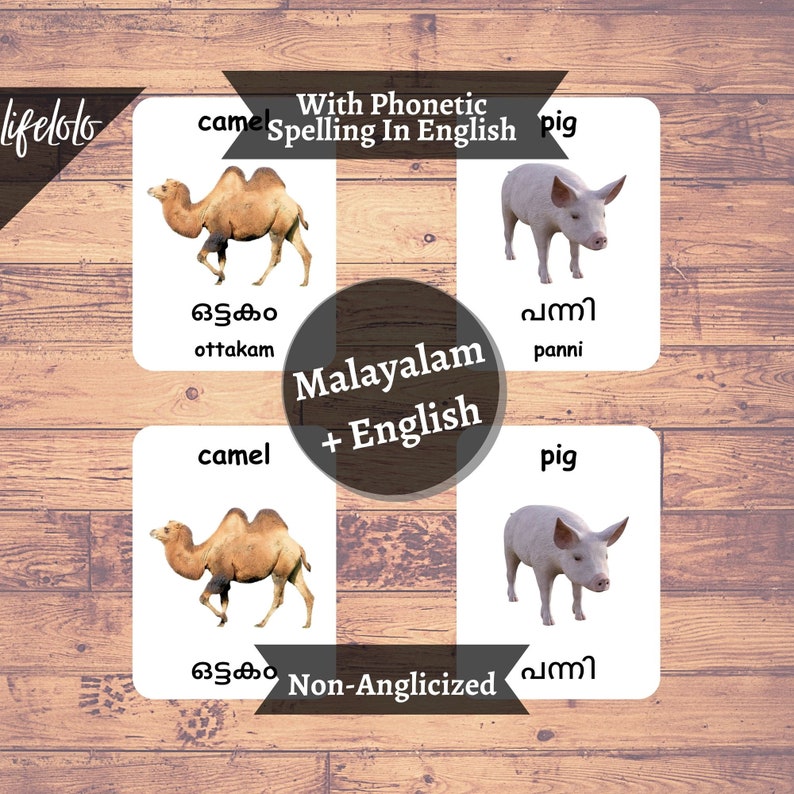 Farm Animals | MALAYALAM | English Bilingual Cards | 27 Malayalam ...