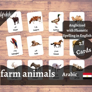 Farm Animals | ARABIC | English Bilingual Cards | 27 Arabic Language ...