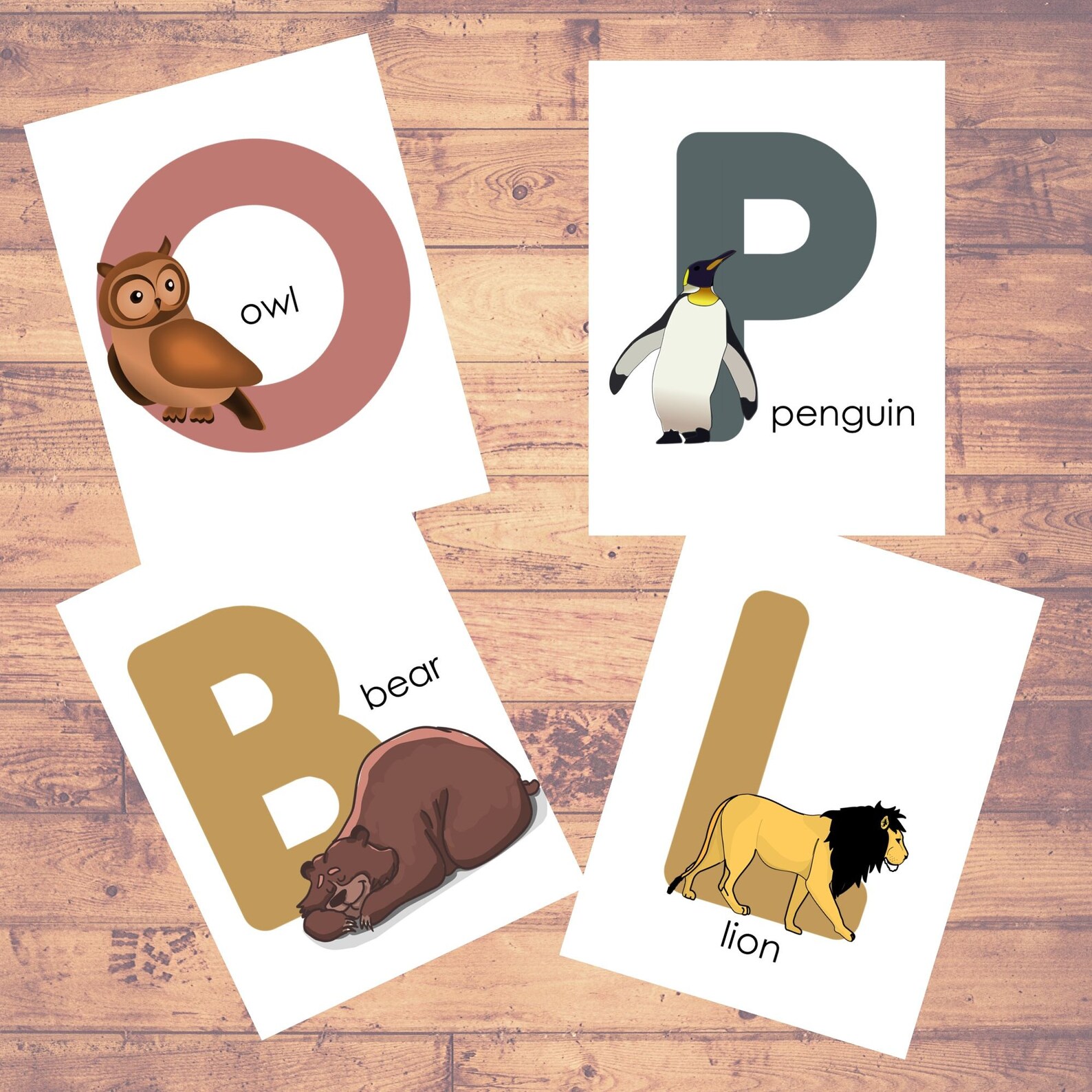 Animal Alphabets Flashcards Homeschooling Educational - Etsy