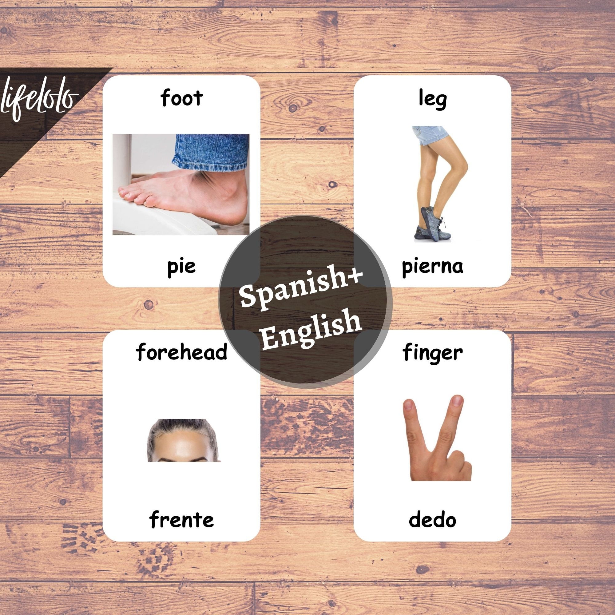 Body Parts (real) | SPANISH | English Bilingual Cards | 24 Spanish ...