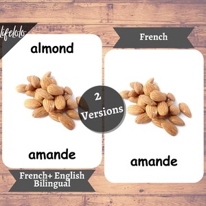 First Foods - FRENCH, 48 French Flash Cards, English Bilingual Cards ...