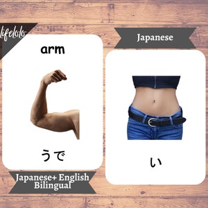 Body Parts (real) | JAPANESE | English Bilingual Cards | 24 Japanese ...