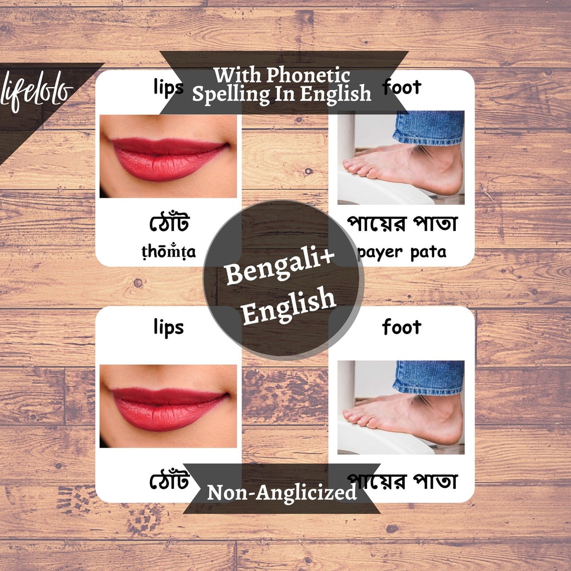 Body Parts real BENGALI English Bilingual Cards 24 - Etsy