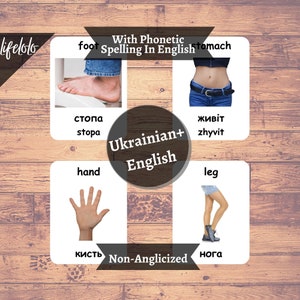 Body Parts real UKRAINIAN English Bilingual Cards 24 Ukrainian Flash ...