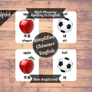 First Words SIMPLIFIED CHINESE Version English Bilingual Cards 48 ...