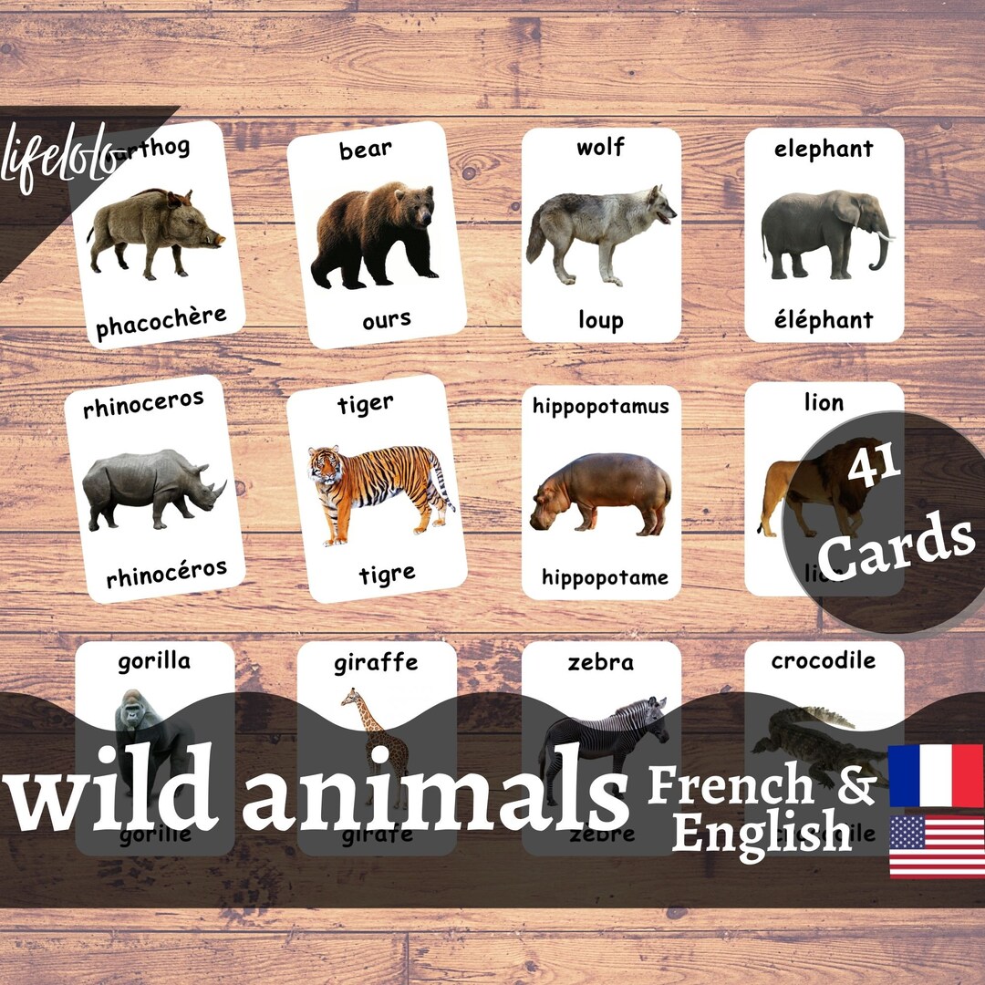 Wild Animals FRENCH Version - English Bilingual Cards | 41 French Flash ...