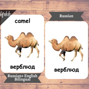 Farm Animals Russian Flash Cards, English Bilingual Cards, Montessori ...