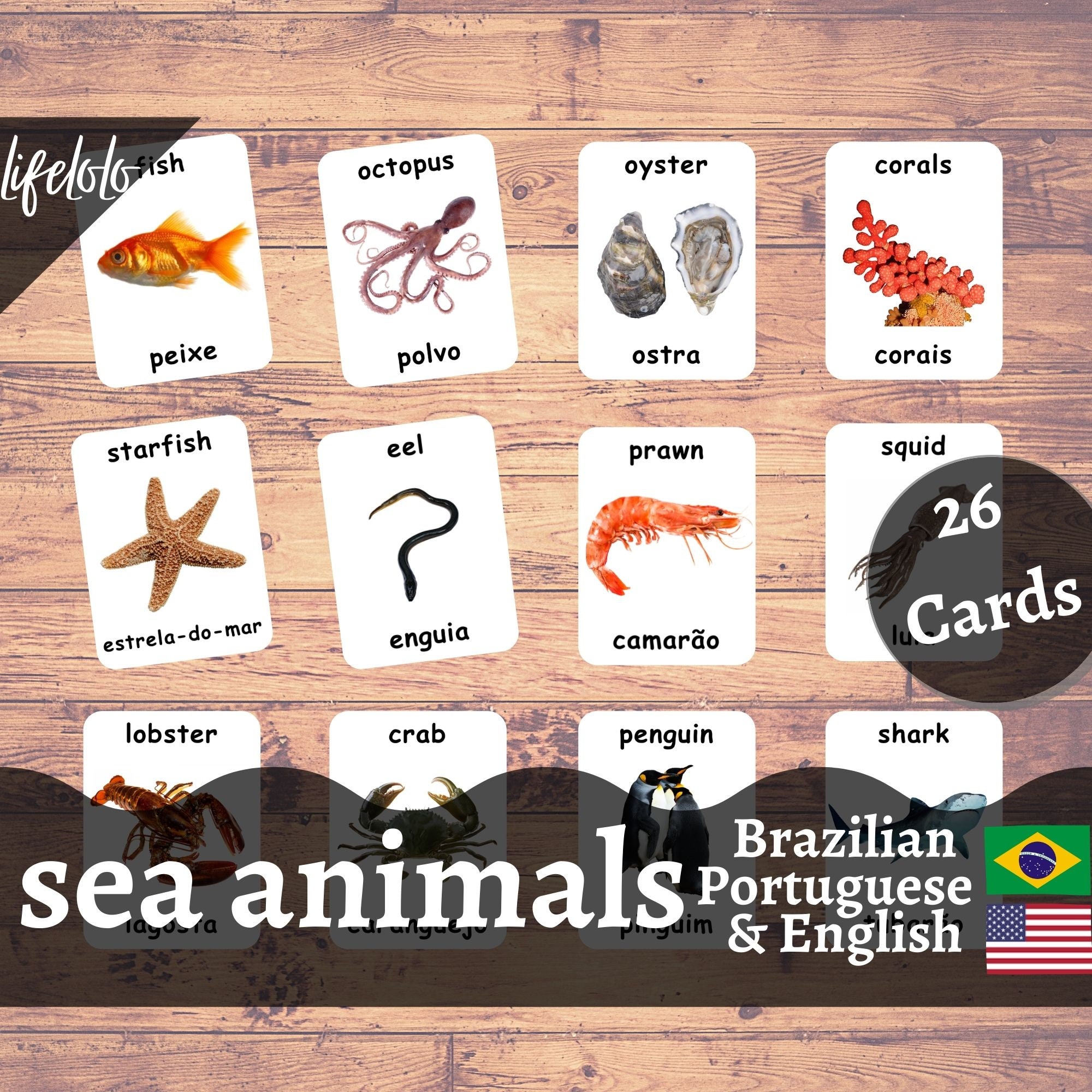 Sea Animals Portuguese English Bilingual Cards Portuguese - Etsy