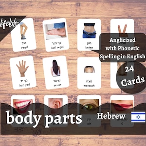 Body Parts (real) | HEBREW | English Bilingual Cards | 24 Hebrew ...