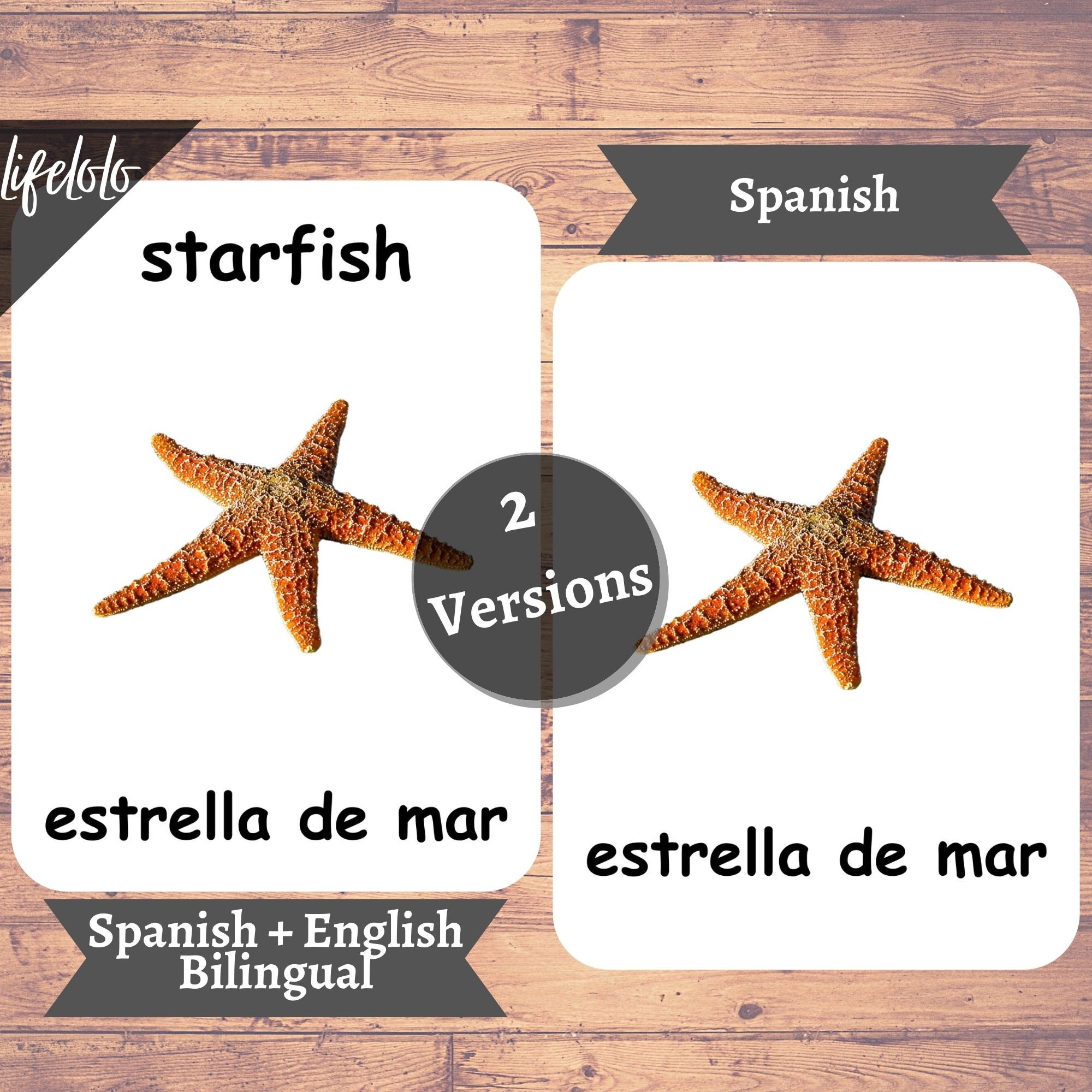 Sea Animals SPANISH Version English Bilingual Cards 26 - Etsy