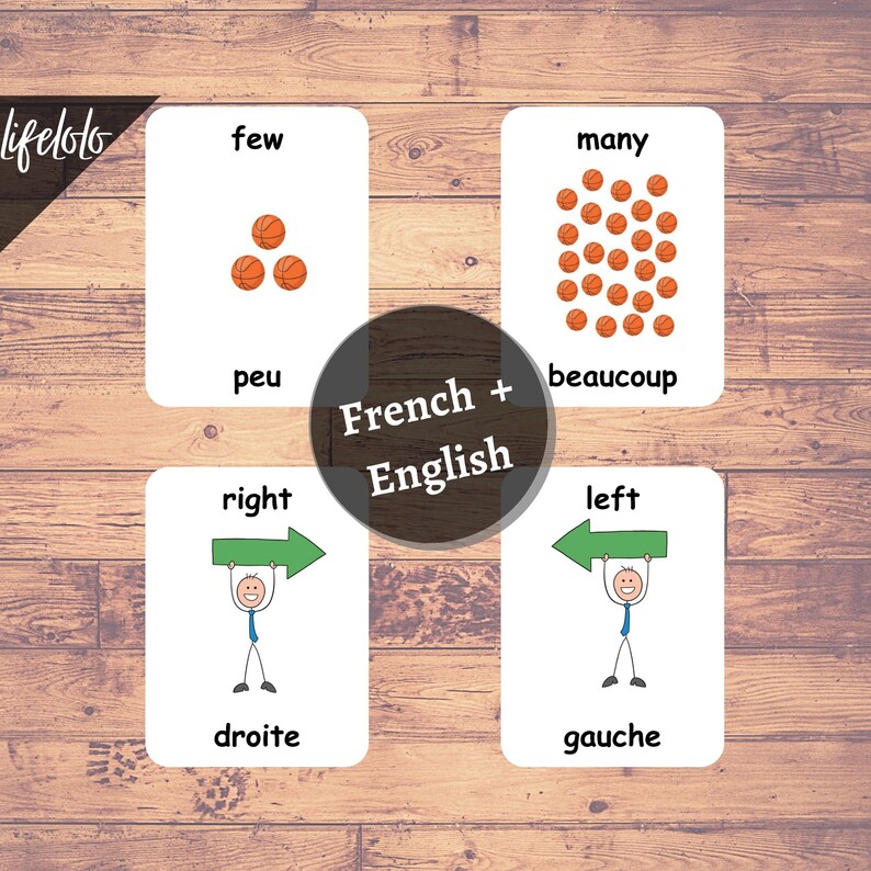 Antonyms FRENCH Flashcards English Bilingual Cards 104 | Etsy