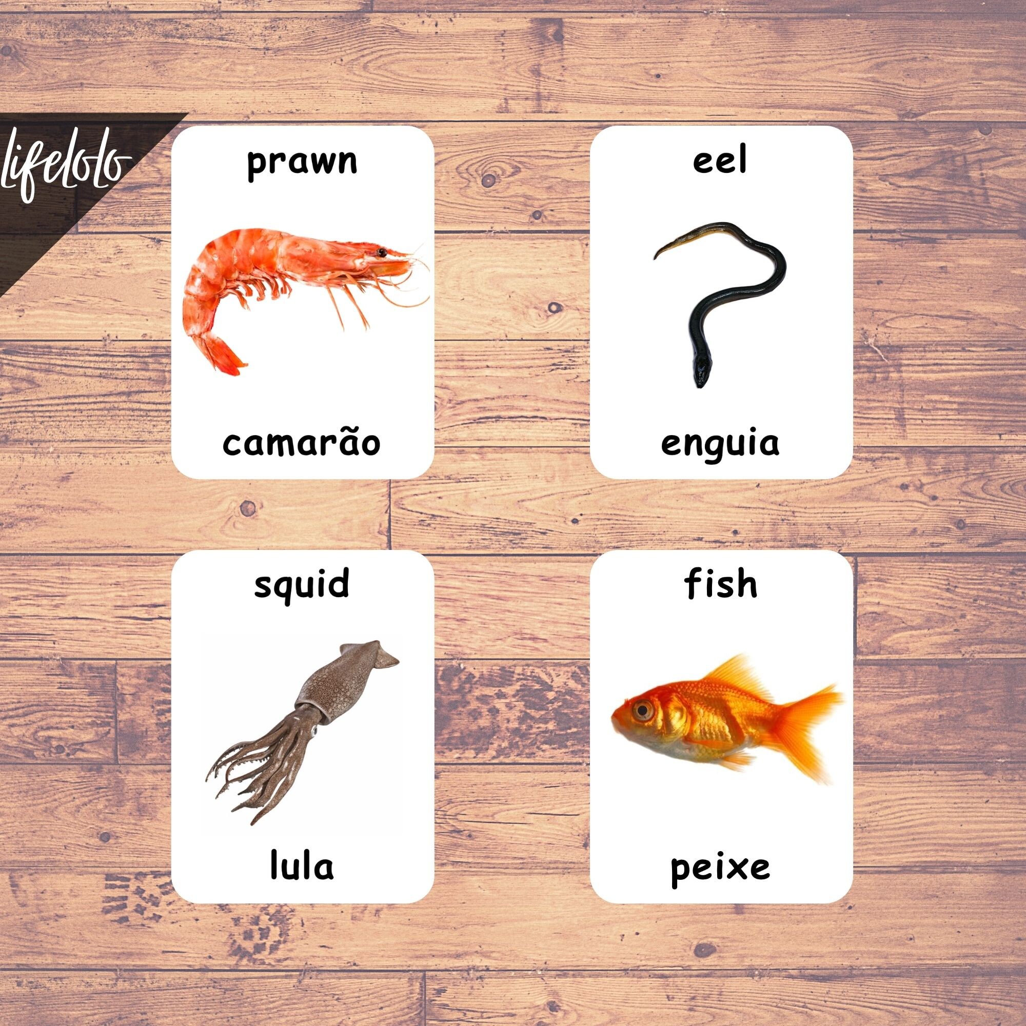 Sea Animals Portuguese, English Bilingual Cards, Portuguese Flash Cards ...