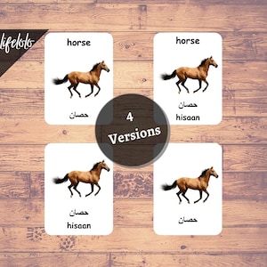 Farm Animals | ARABIC | English Bilingual Cards | 27 Arabic Language ...