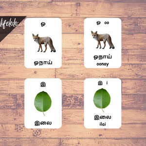 Tamil Alphabets With Words Flash Cards, English Pronunciation ...