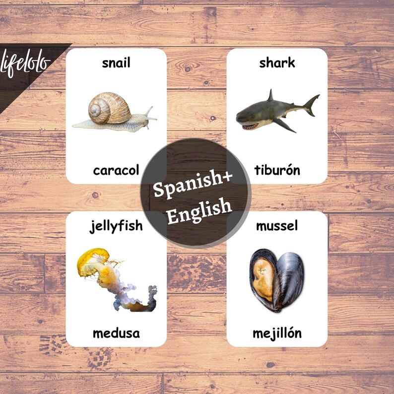 Sea Animals SPANISH Version - English Bilingual Cards | 26 Spanish ...