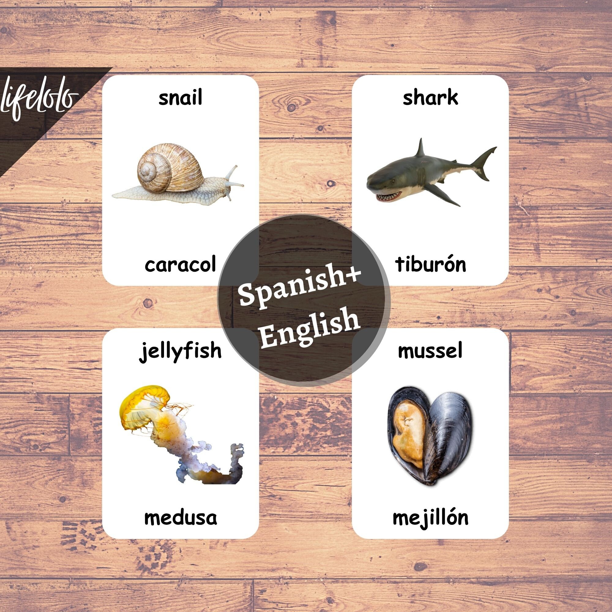 Sea Animals SPANISH Version English Bilingual Cards 26 - Etsy