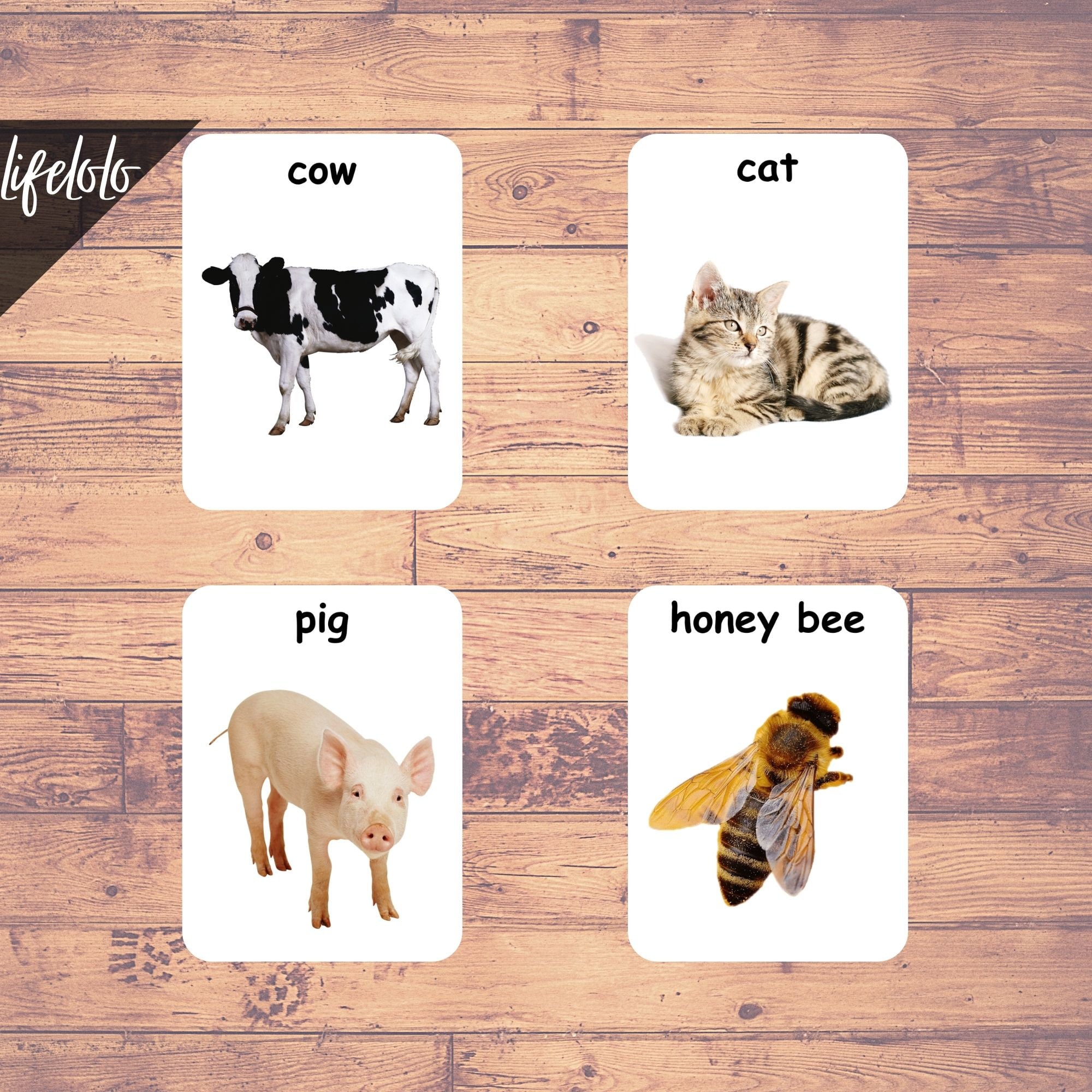 Farm Animals Real Images 27 Flash Cards Montessori Cards | Etsy