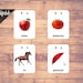 Turkish Alphabets Flash Cards, Turkish Montessori Cards, Homeschooling ...