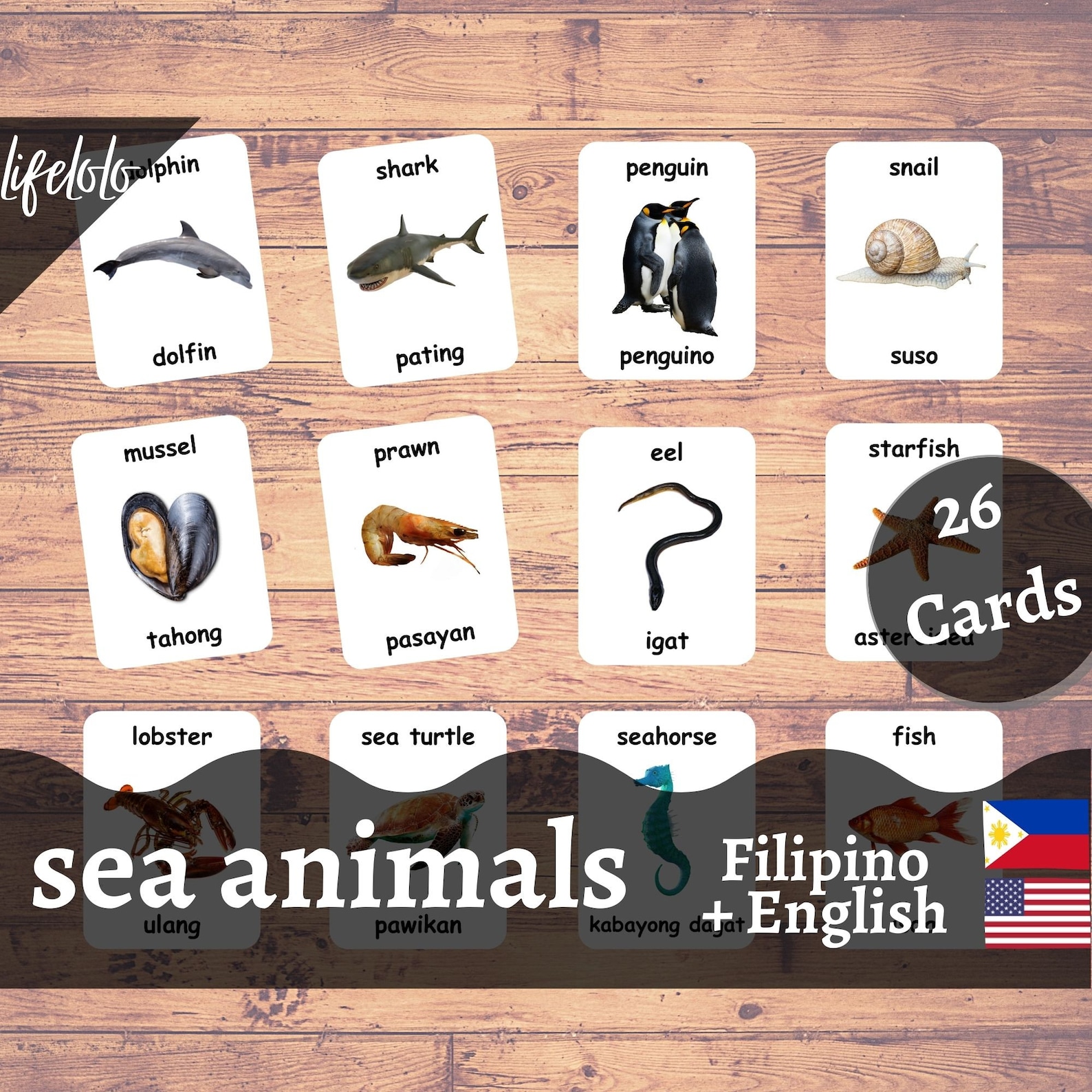 FILIPINO Flash Cards BUNDLE Tagalog English Bilingual Cards | Etsy